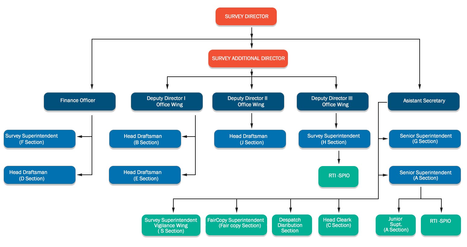 Organization Structure
